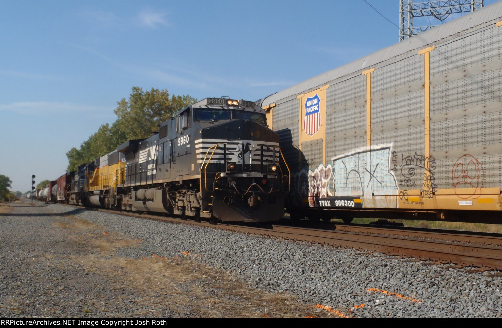 NS 9960, NS 6542 & NS 9438